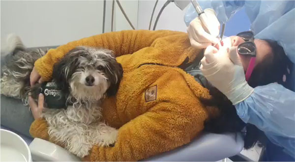 Dr. Marcelo Valle participa en Proyecto Canopatitas - Facultad de Odontología - Universidad de Chile