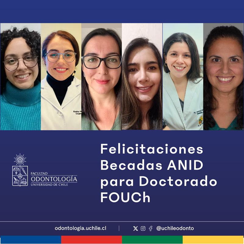 6 estudiantes de Doctorado se adjudican Becas ANID 2025 - Facultad de ...